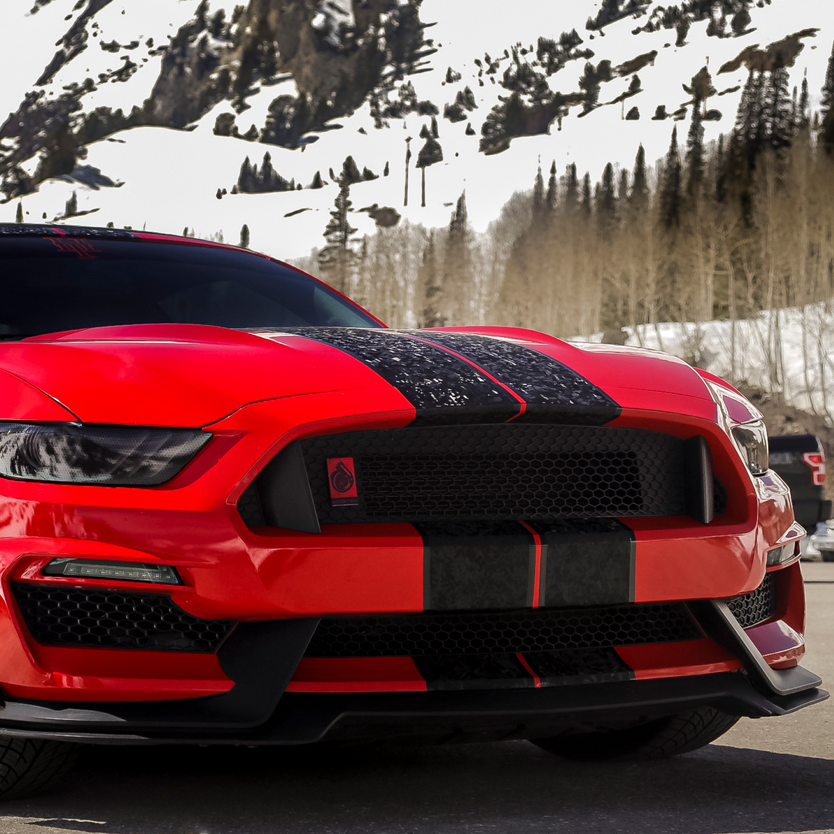 How To Add Pinstripes To Your Car – VViViD Shop Canada